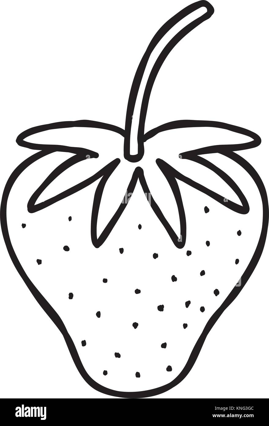 line delicious strawberry fresh and organic fruit Stock Vector Image ...