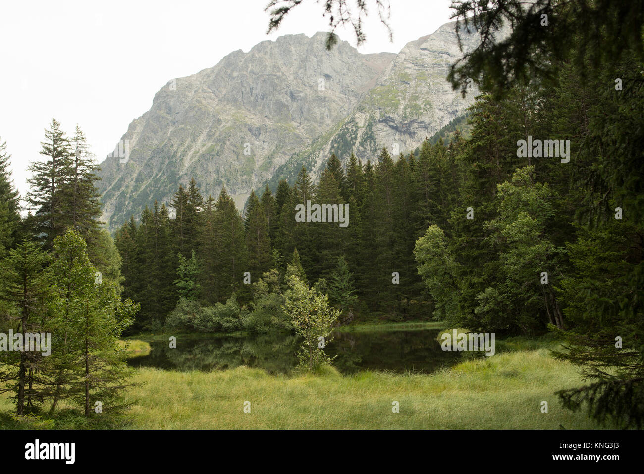 Small forest lake in Alpen mountains, place for walking, relaxation and ...