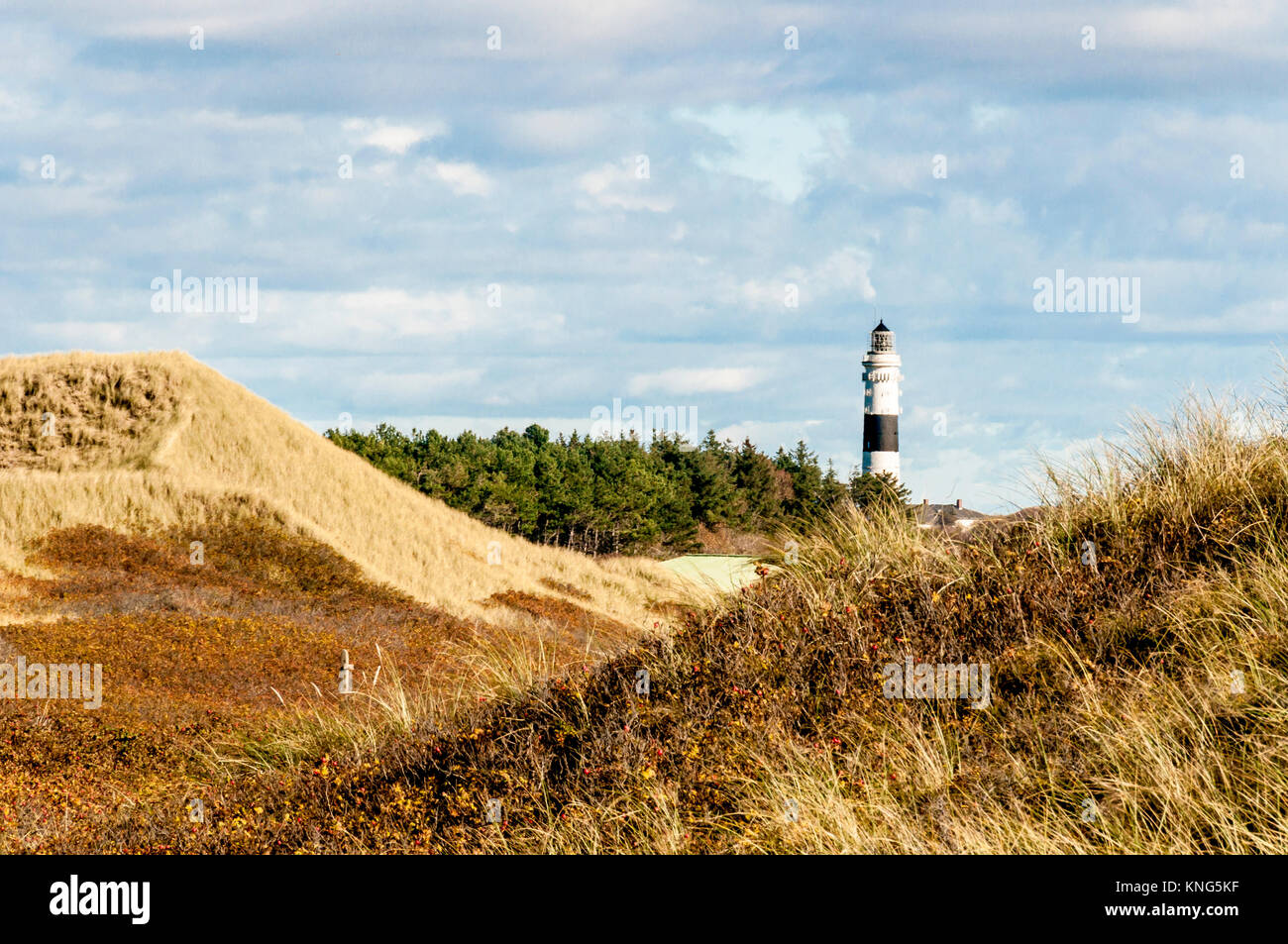 Dunes on the island of Sylt (Germany): Dünen auf Sylt Stock Photo - Alamy