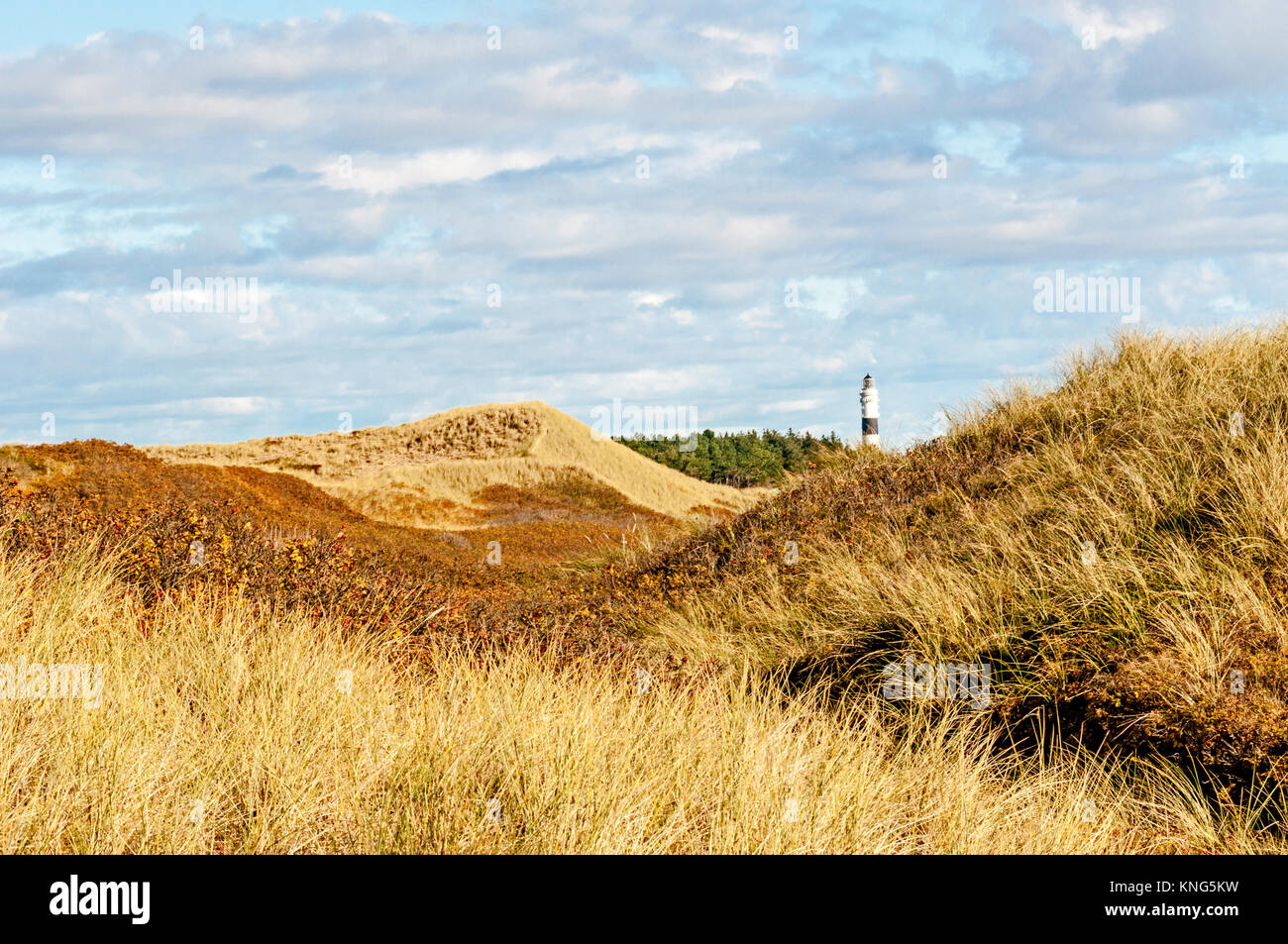 Sylt (Germany): Dunes and Lighthouse Stock Photo - Alamy