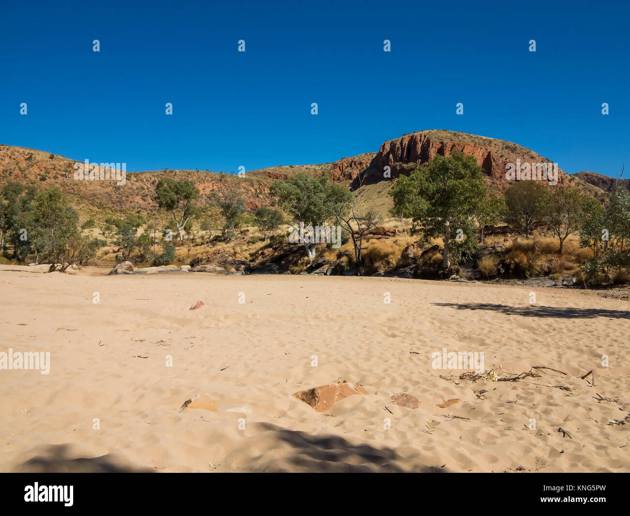 Dry River Bed in Outback Australia Stock Photo - Alamy