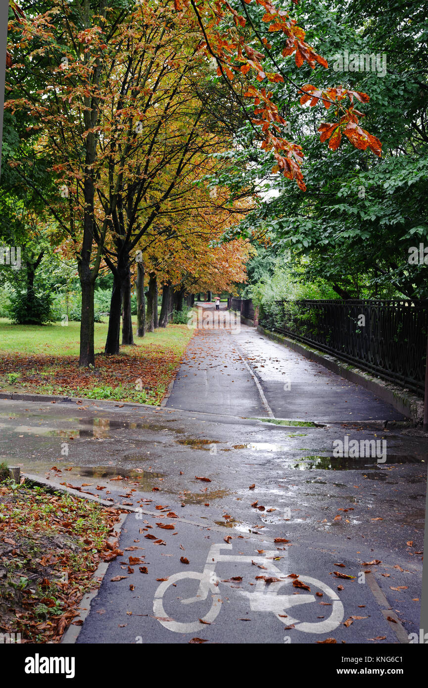 Autumn Park. Path along trees with colorful leaves Stock Photo - Alamy