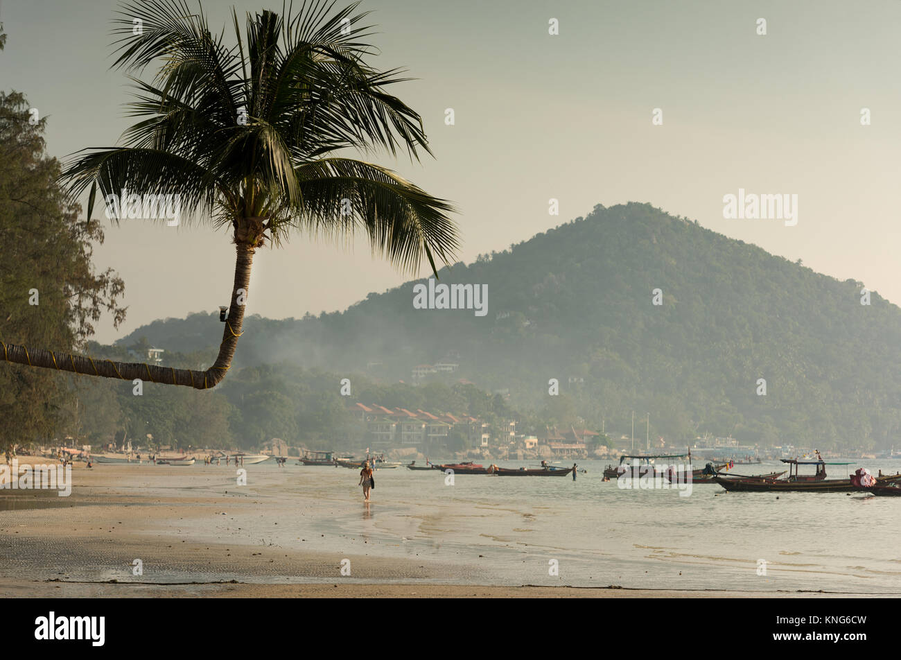 Tropical island.. Ko Tao island, Thailand Stock Photo - Alamy