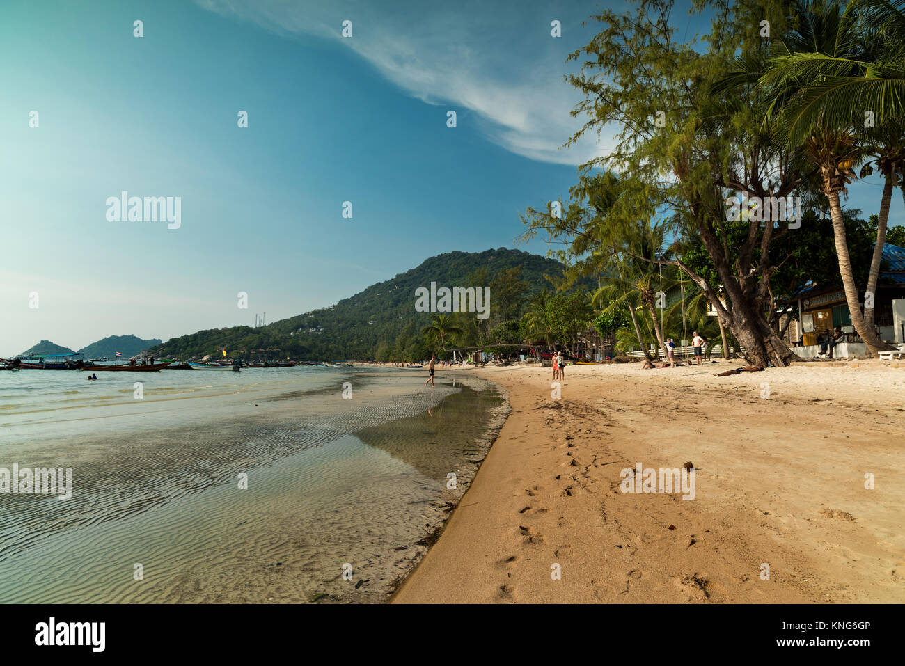 Tropical island.. Ko Tao island, Thailand Stock Photo - Alamy