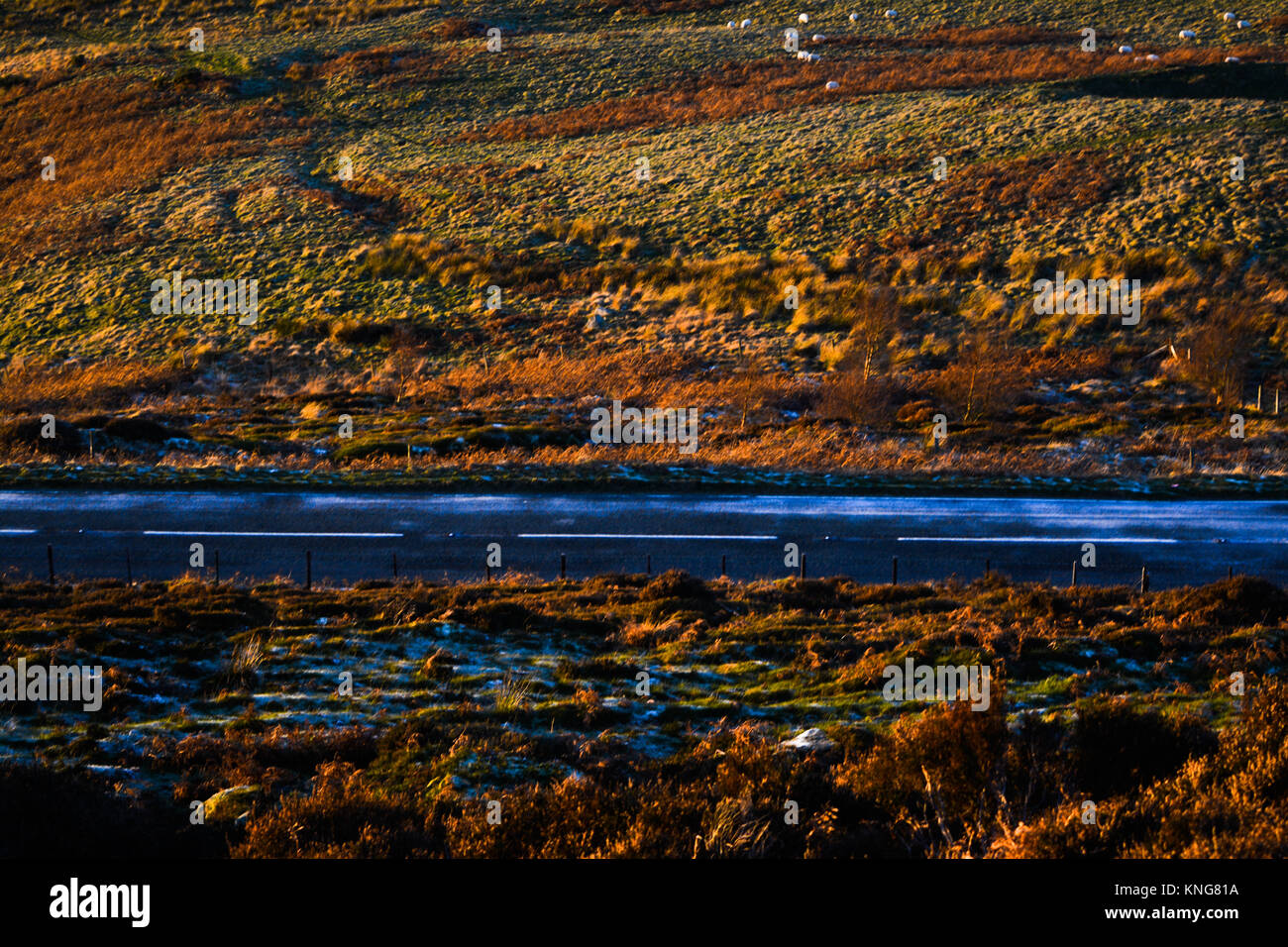 Road to Rothbury | Beautiful Winter Light and Sunset, Northumberland ...