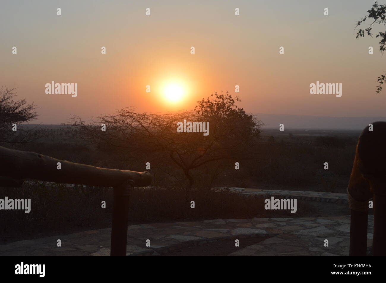 african safari september 2017 serengeti n'gorongoro manyara tanzania ...