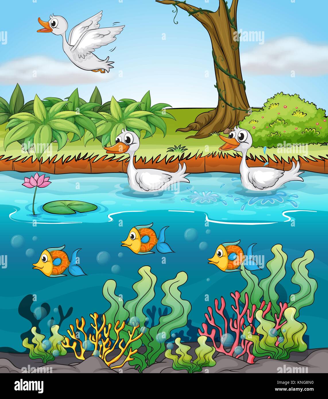 Illustration of duck and fishes Stock Vector Image & Art - Alamy