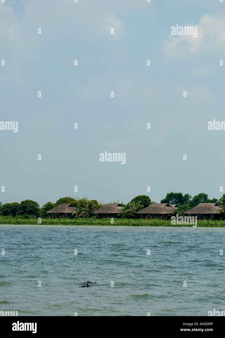Thatched Houses along the Mekong River Stock Photo - Alamy