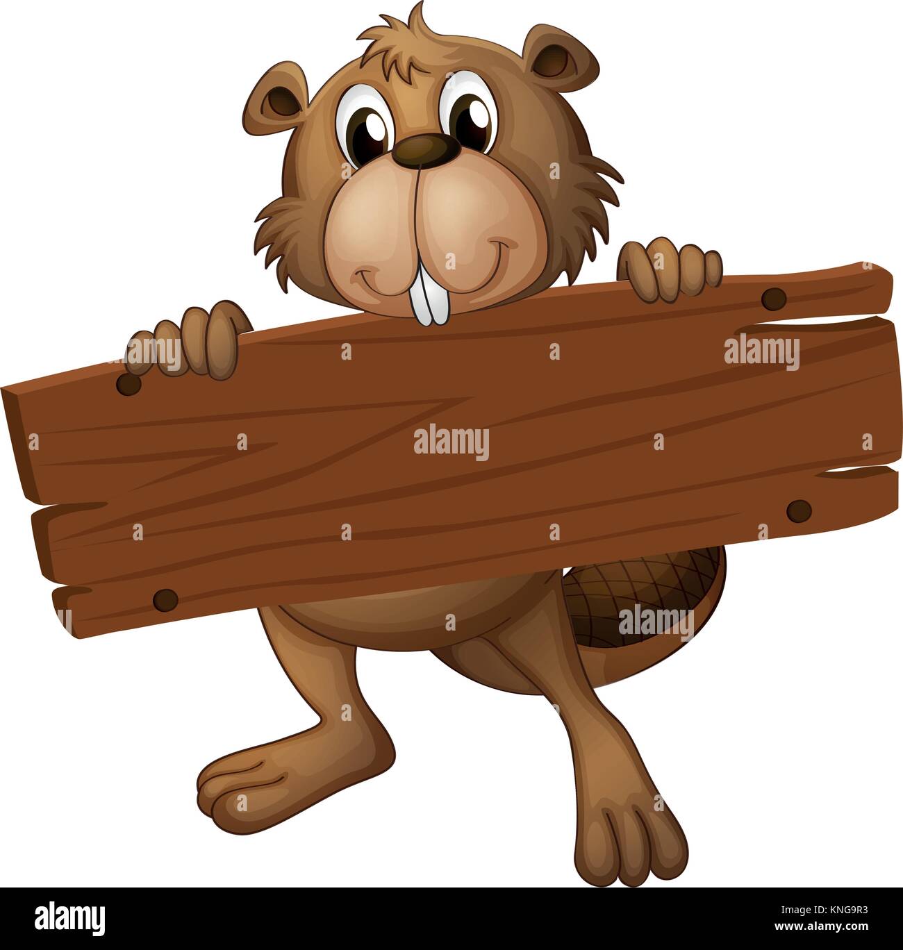 Illustration of a beaver with a sign board on a white background Stock ...
