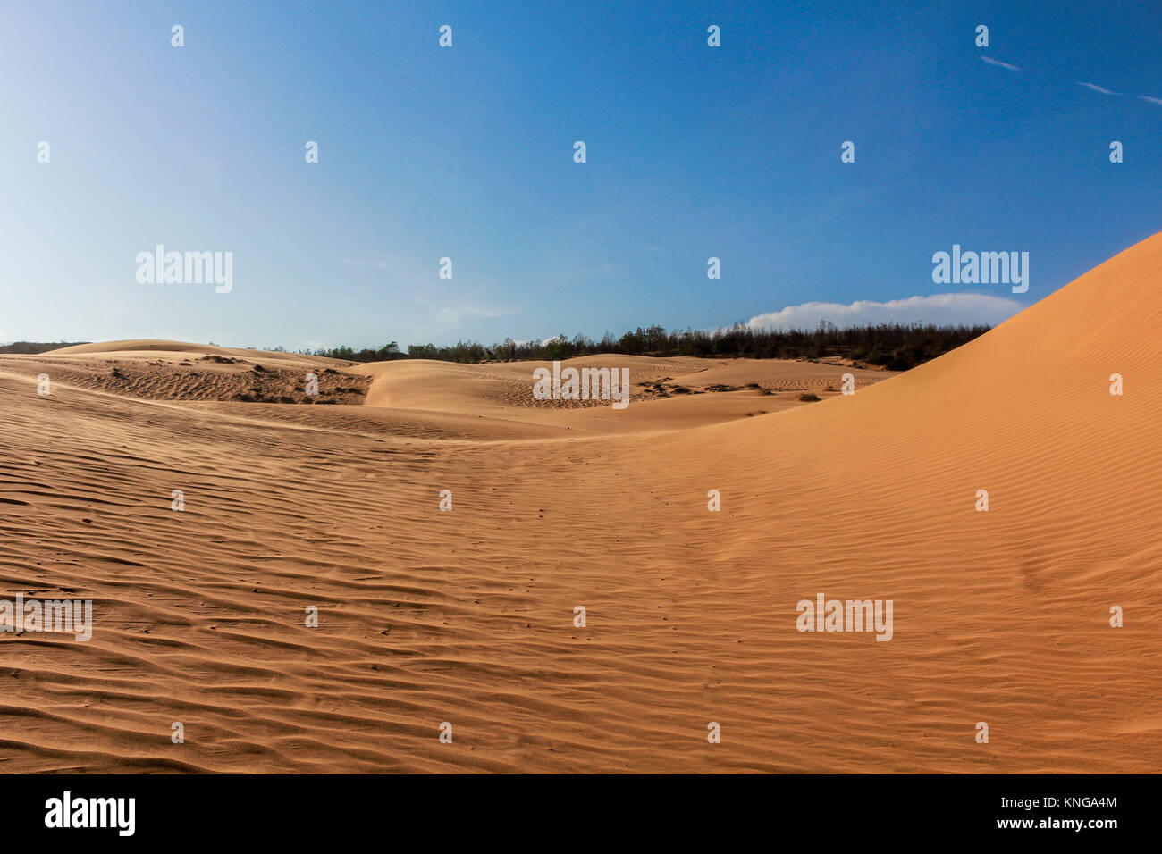 Beauty of Landscape desert, Red Sand Dune Mui Ne in Vietnam on Sunny ...