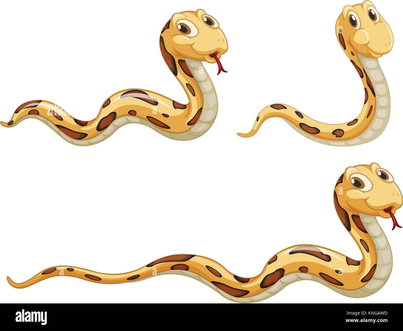 illustration of snakes on a white background Stock Vector Image & Art ...