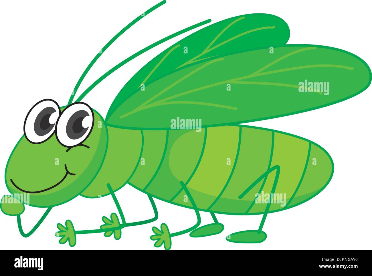 Illustration of a smiling grasshopper on a white background Stock ...