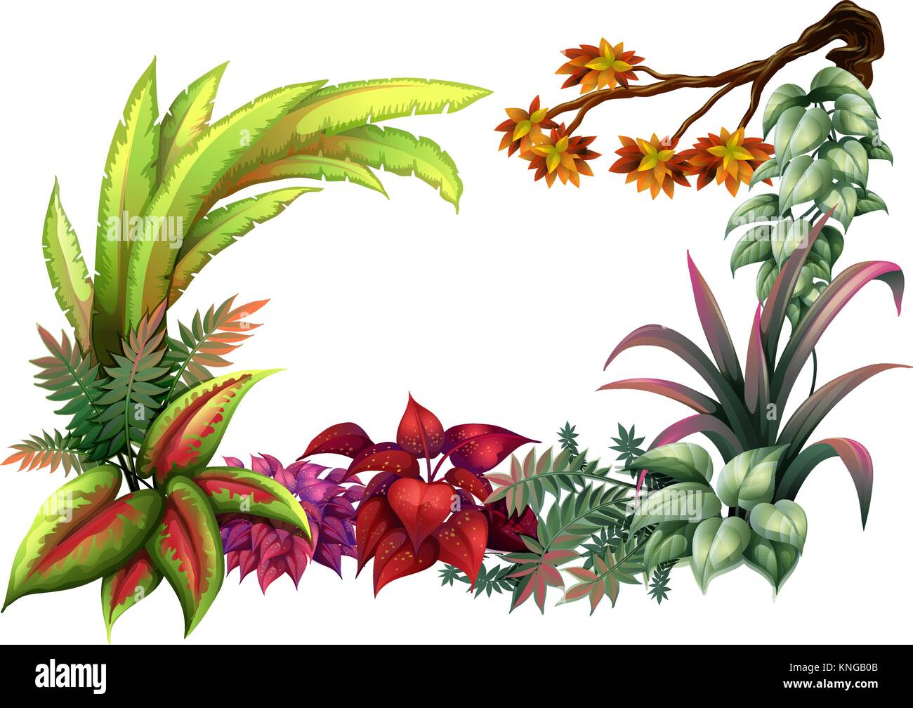 Plant apex Cut Out Stock Images & Pictures - Alamy