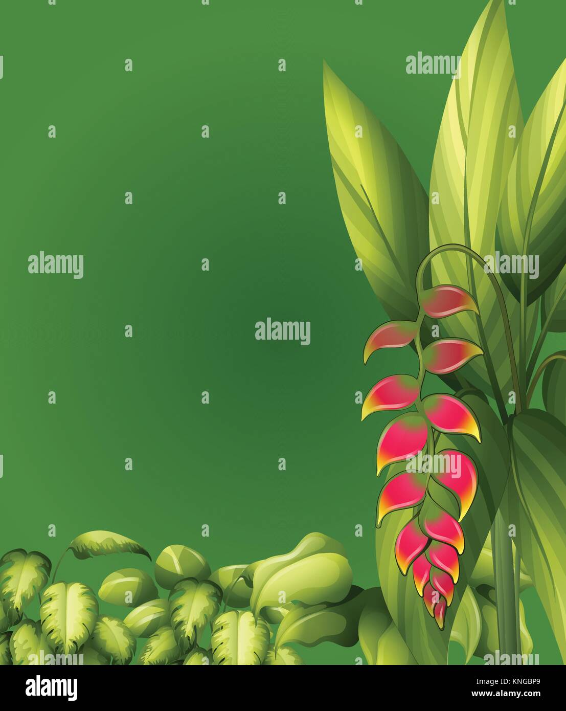 Illustration of plants with elliptic leaves on a green background Stock ...