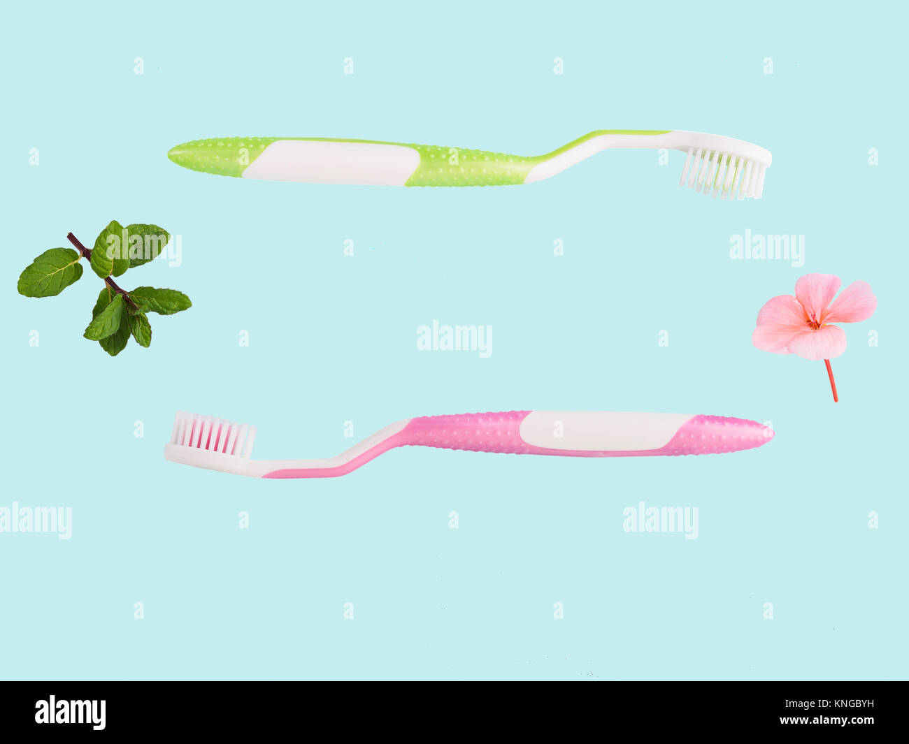 Two pastel toothbrushes with pink flowers mint herb over green textured ... Two pastel toothbrushes with pink flowers mint herb over green textured ...