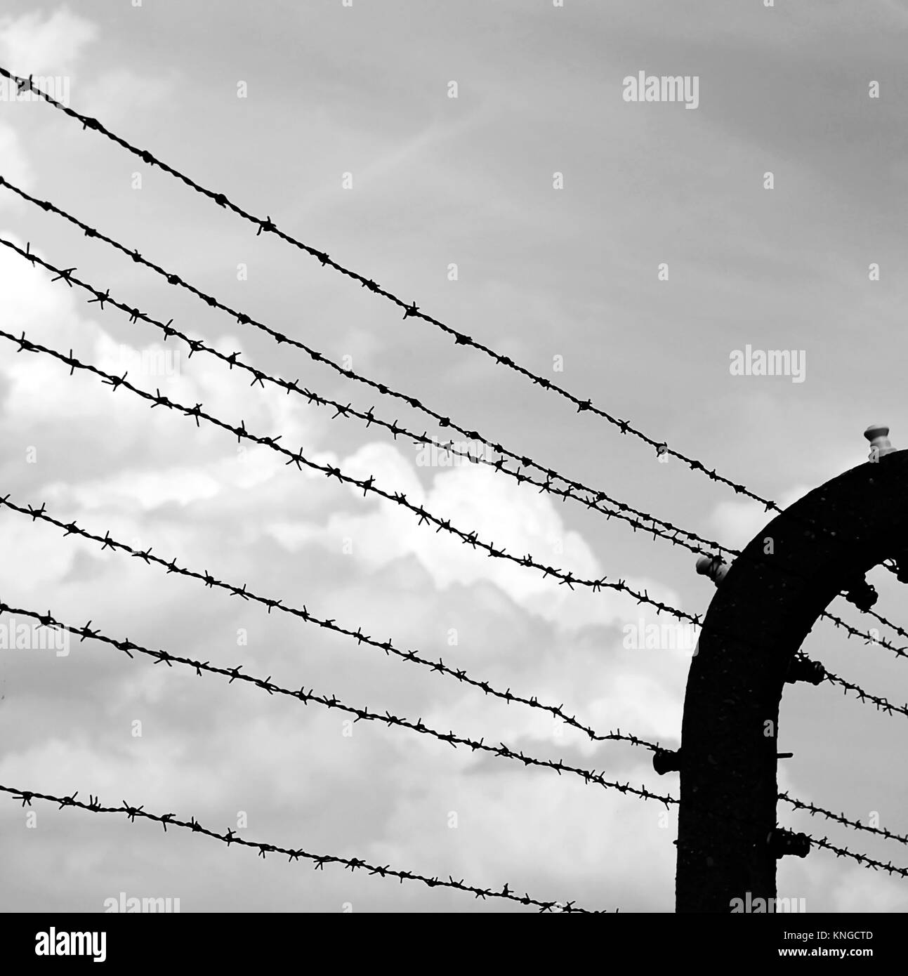 barbed wire with black and white photograph effect Stock Photo - Alamy