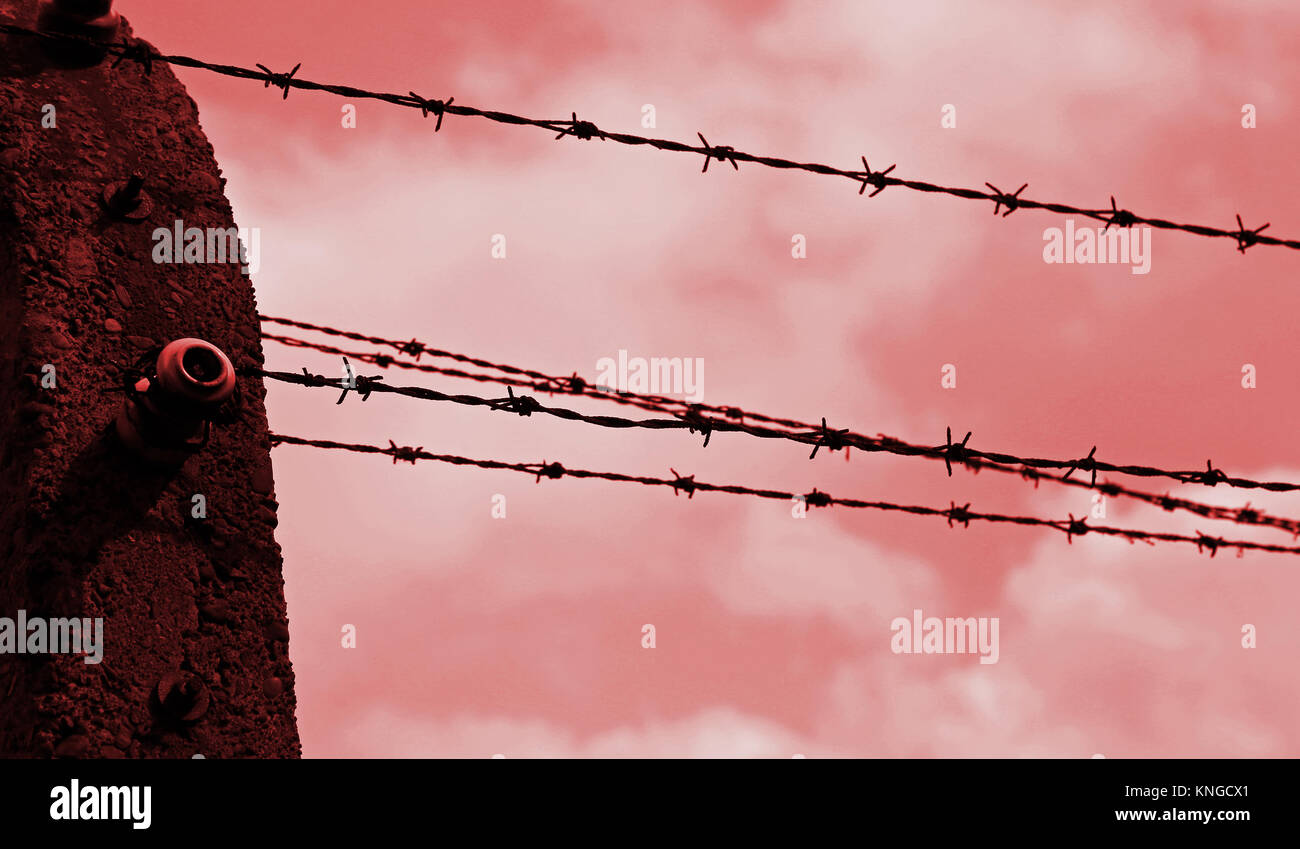 barbed wire in the refugee camp with red background effect Stock Photo ...