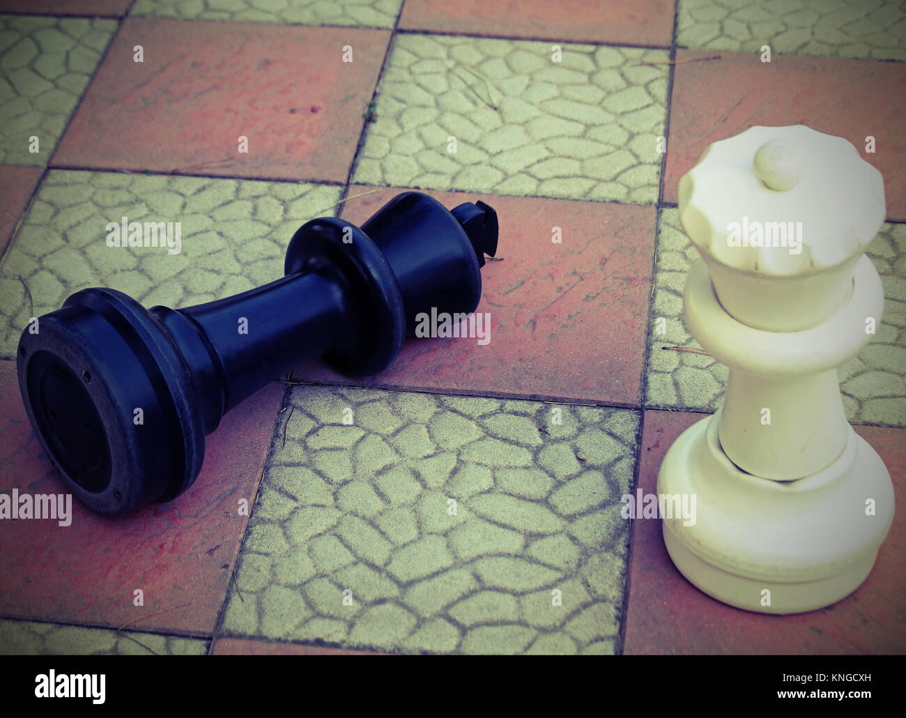 Checkmate with the dead black king and winning white queen using giant ...