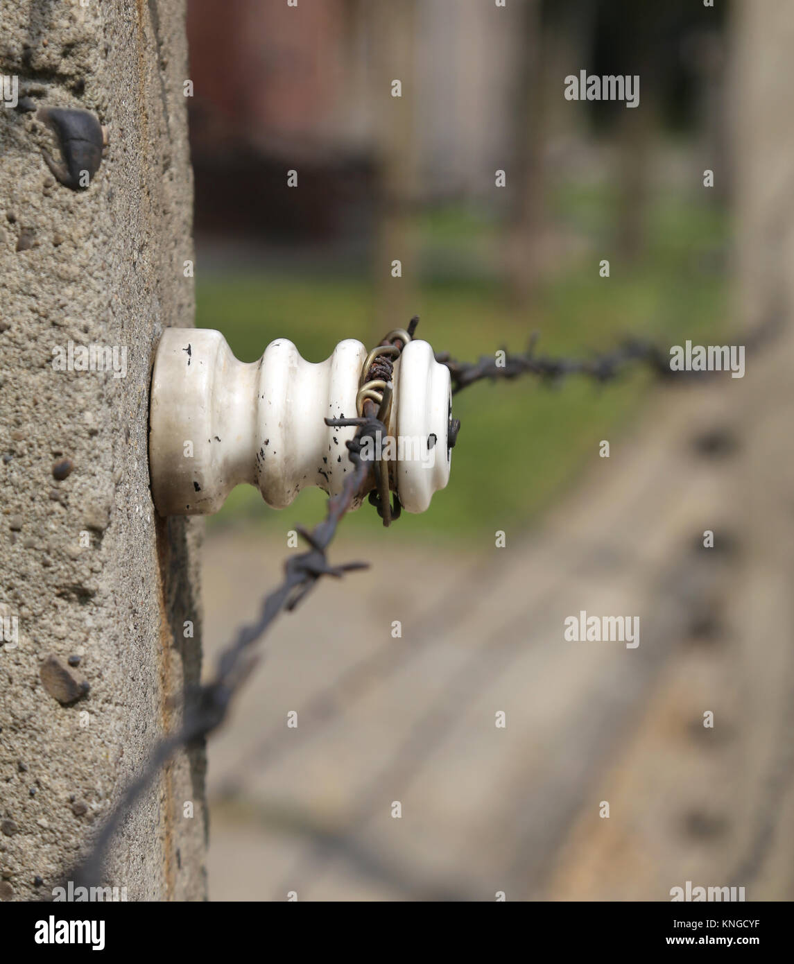 detail of the border with barbed wire and the ceramic isolator Stock ...