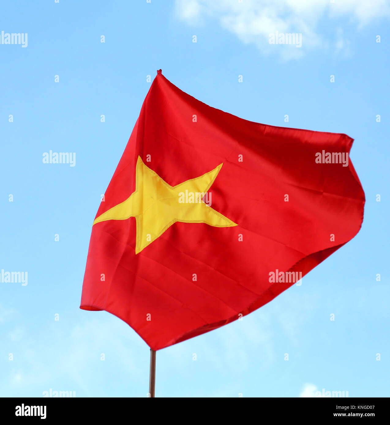 big flag of Vietnam with big yellow star in the red background Stock ...