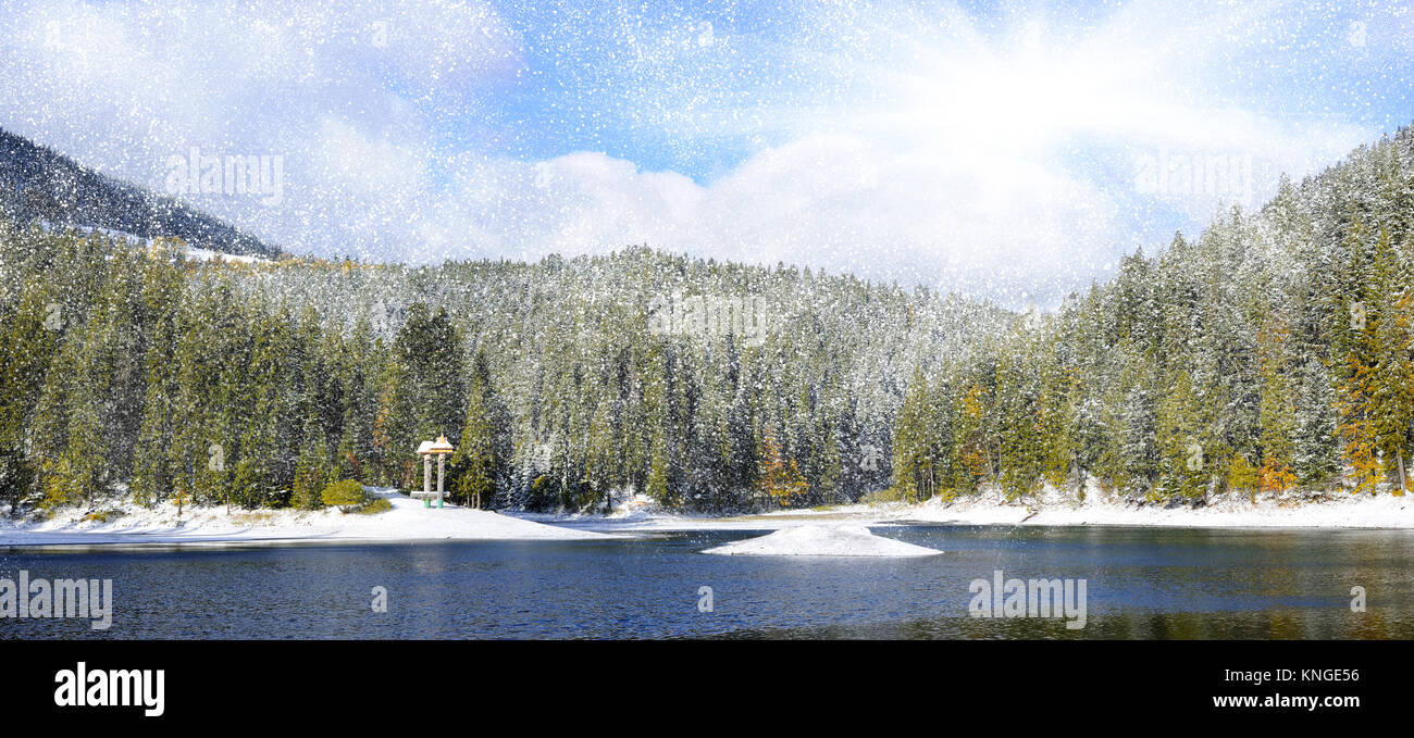 Mountain forest with first winter snow Stock Photo - Alamy