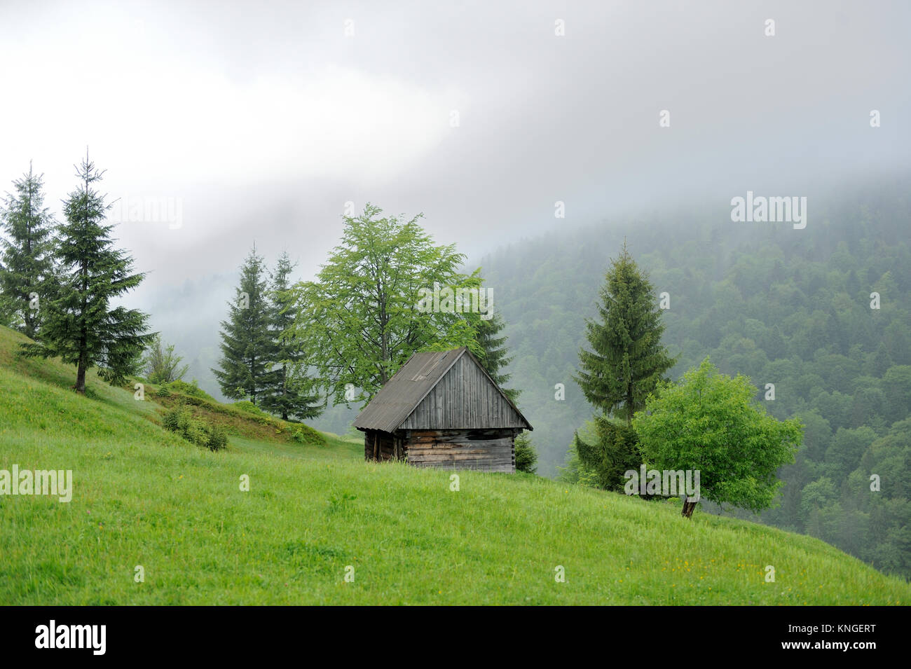 House building green fog hi-res stock photography and images - Alamy
