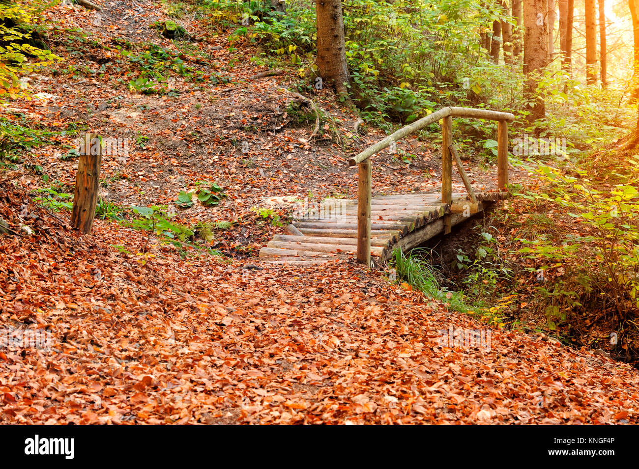 Bridge and road in autumn forest. Autumn landscape Stock Photo - Alamy