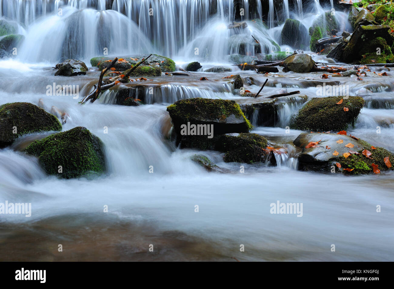 Summer forest waterfall and rocks in wood Stock Photo - Alamy