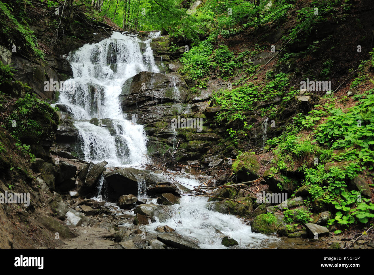 Summer forest waterfall and rocks in wood Stock Photo - Alamy