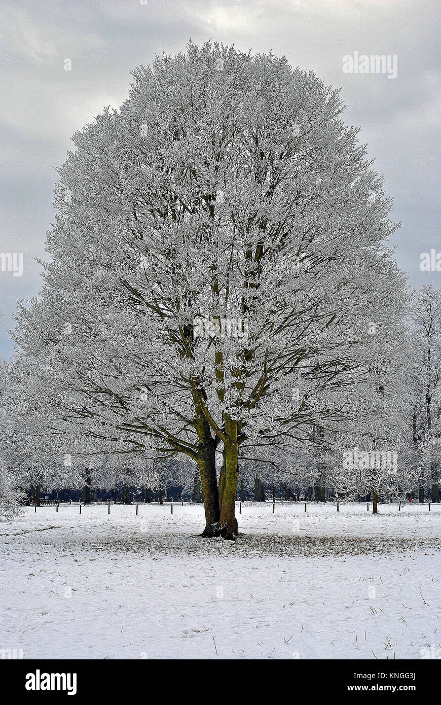 In the bleak midwinter hi-res stock photography and images - Alamy