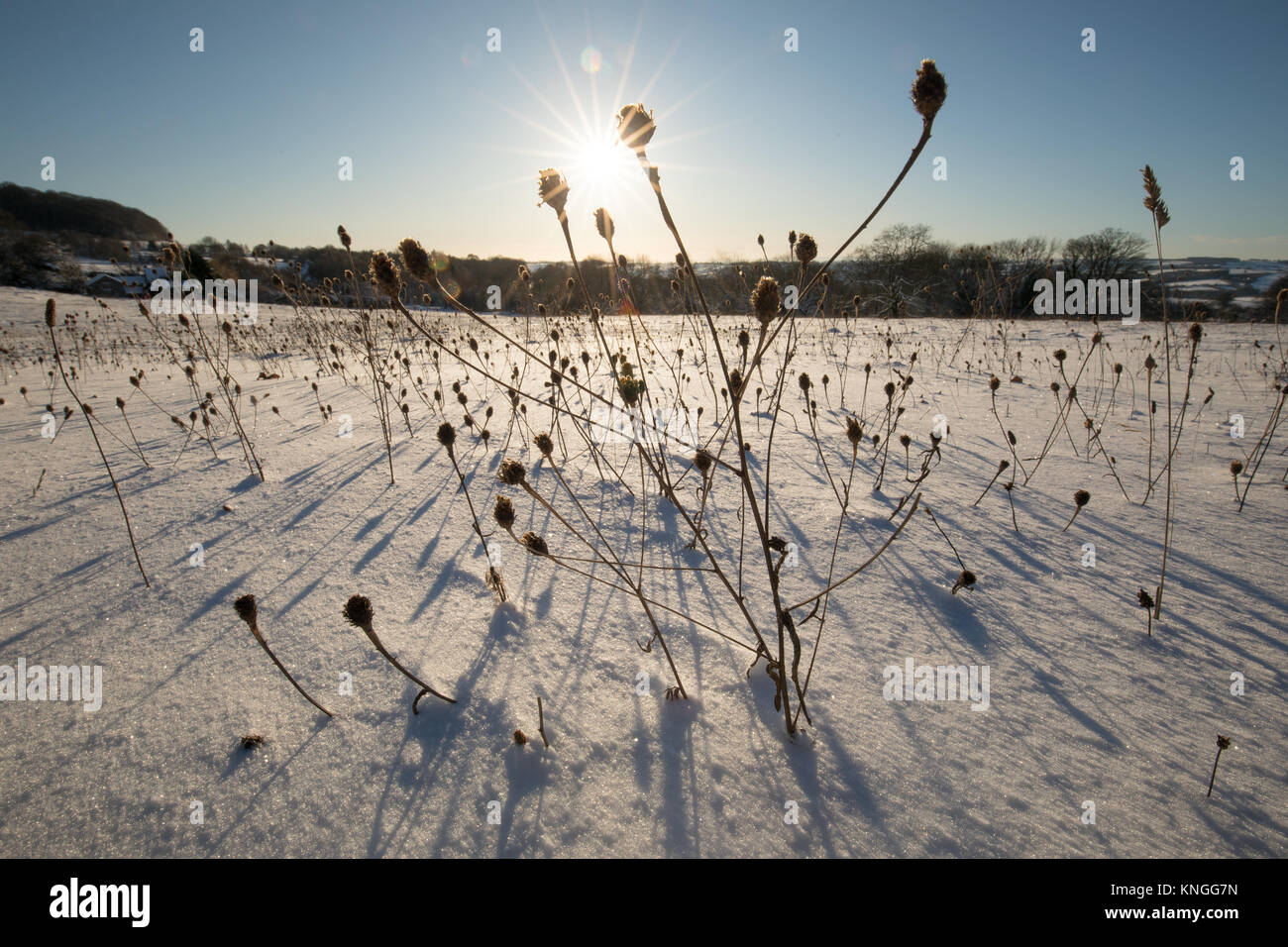 Winter light over deep snow covering the flower meadows of Bromyard ...