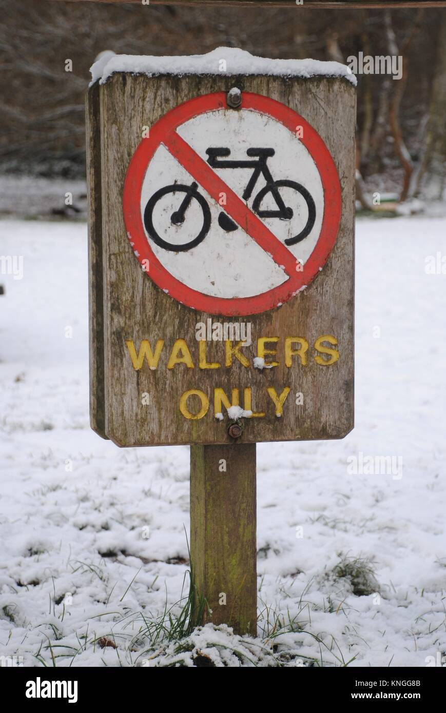 No Cyclists. Walkers Only. Sherwood Forest, Edwinstowe, Nottinghamshire ...