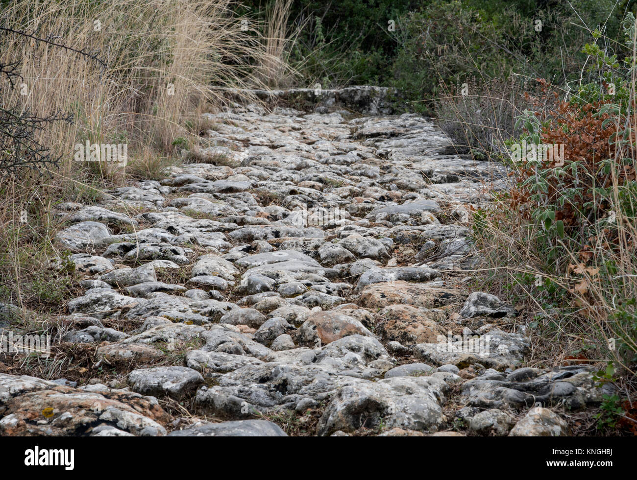 Hillside pathway view hi-res stock photography and images - Alamy