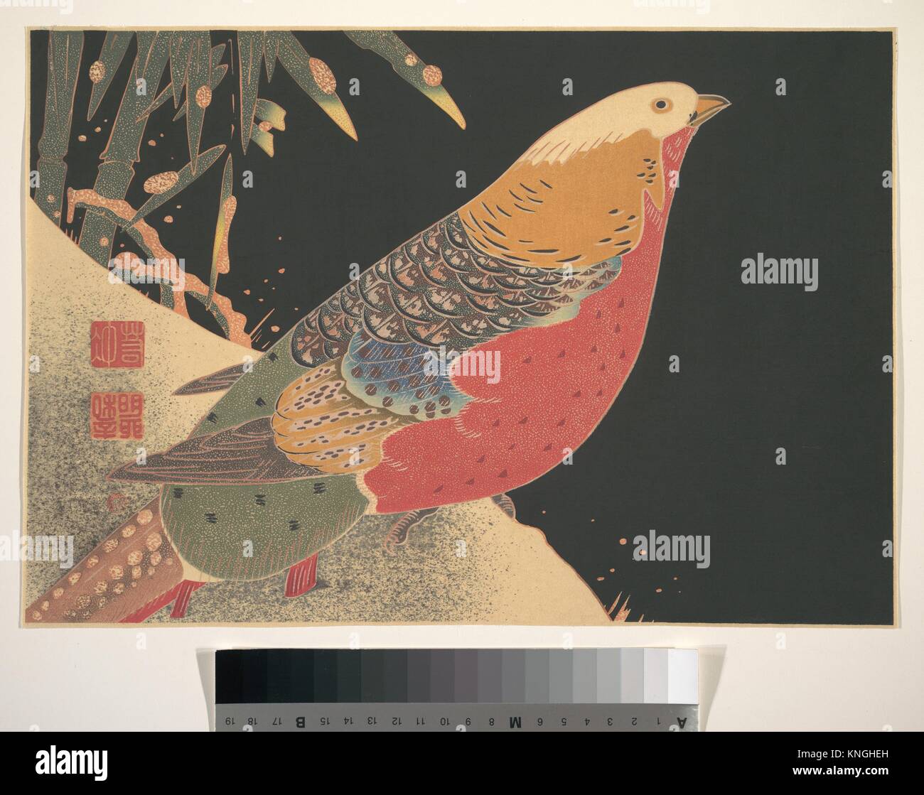 Ito jakuchu 1716 1800 hi-res stock photography and images - Alamy