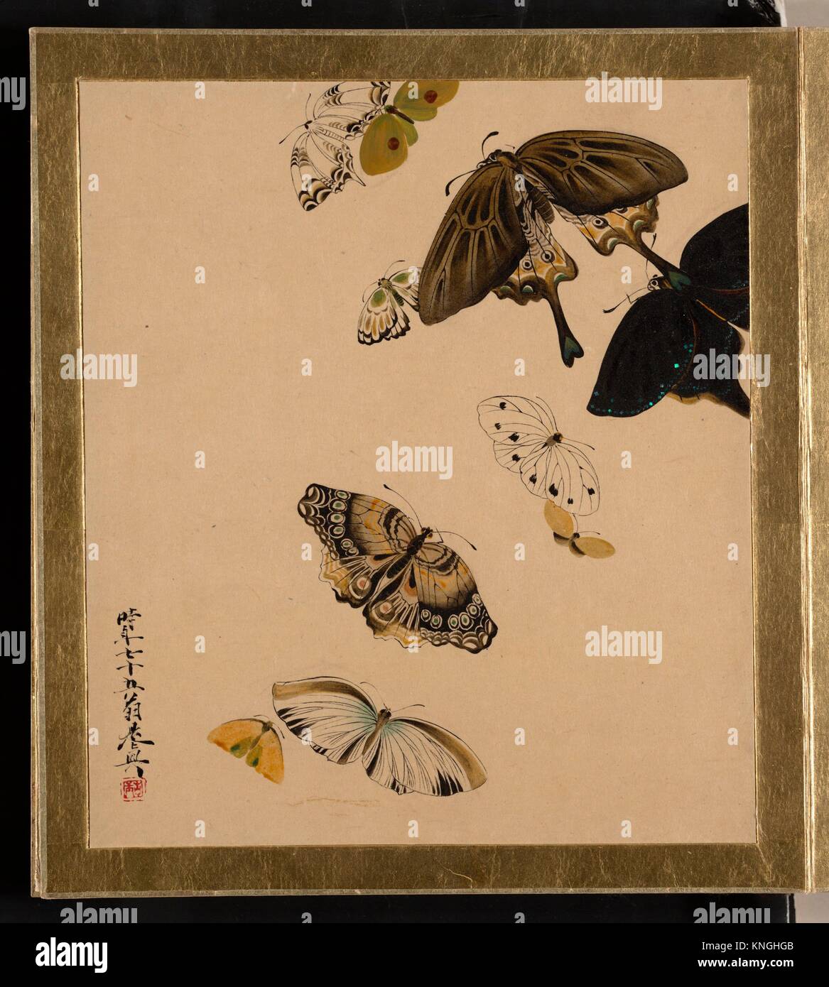 Japanese butterfly art hi-res stock photography and images - Alamy