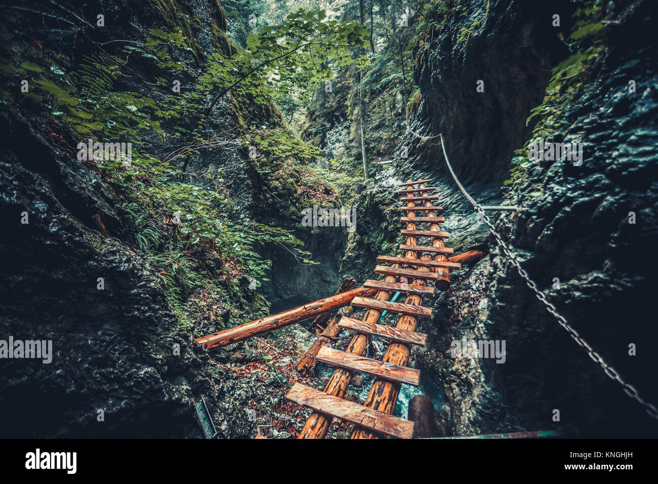 Old construction wooden pedestrian bridge hi-res stock photography and ...