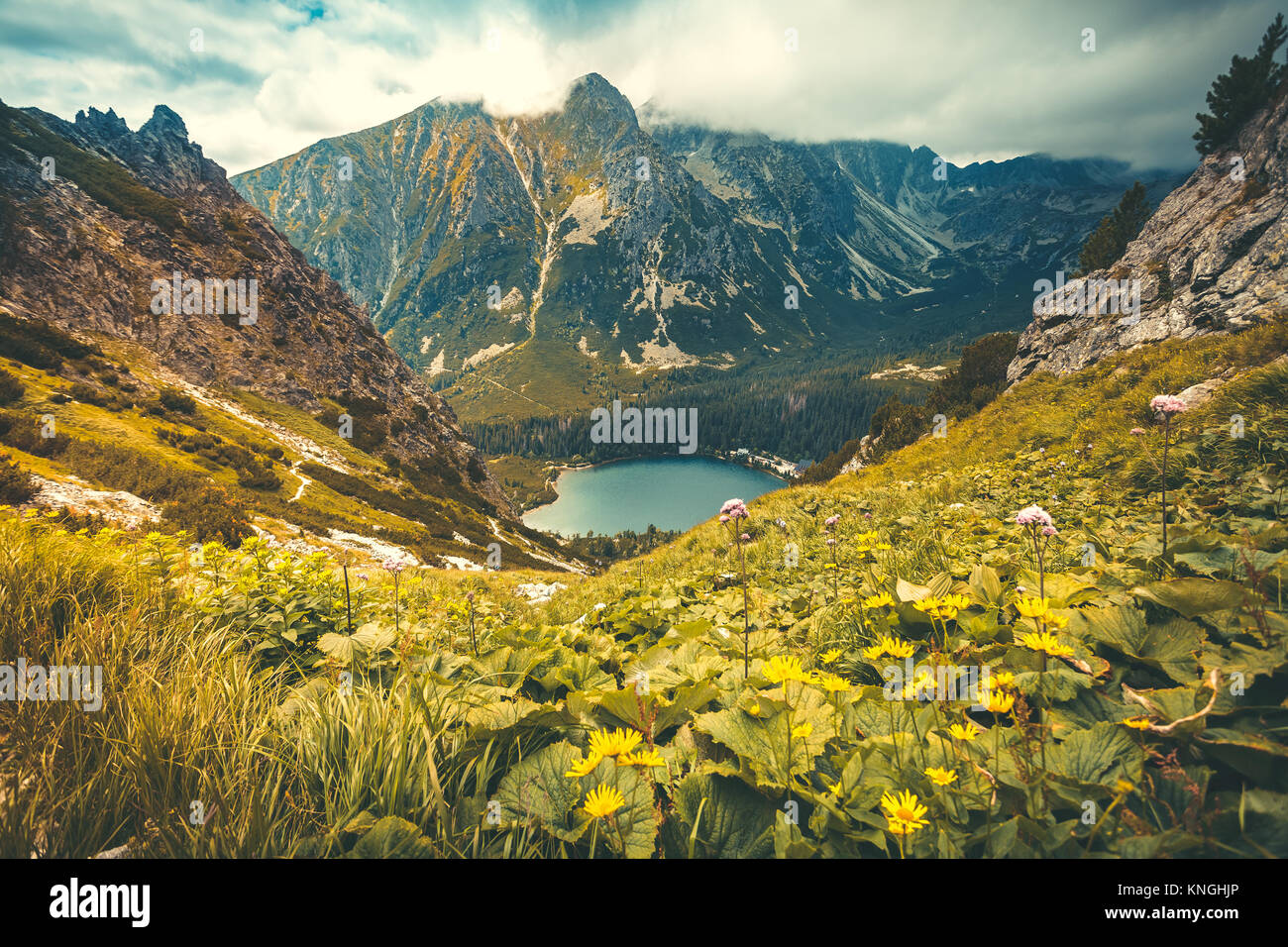 Slovakia natural hi-res stock photography and images - Alamy