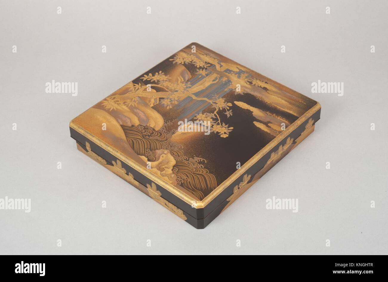 Black beauty design hi-res stock photography and images - Alamy