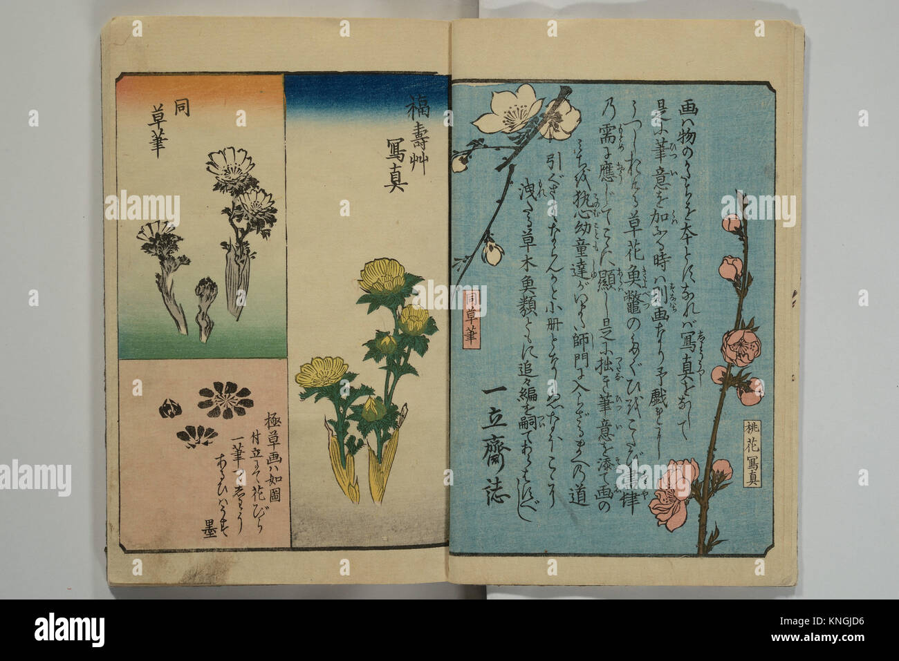 Edo Period Drawing High Resolution Stock Photography and Images - Alamy