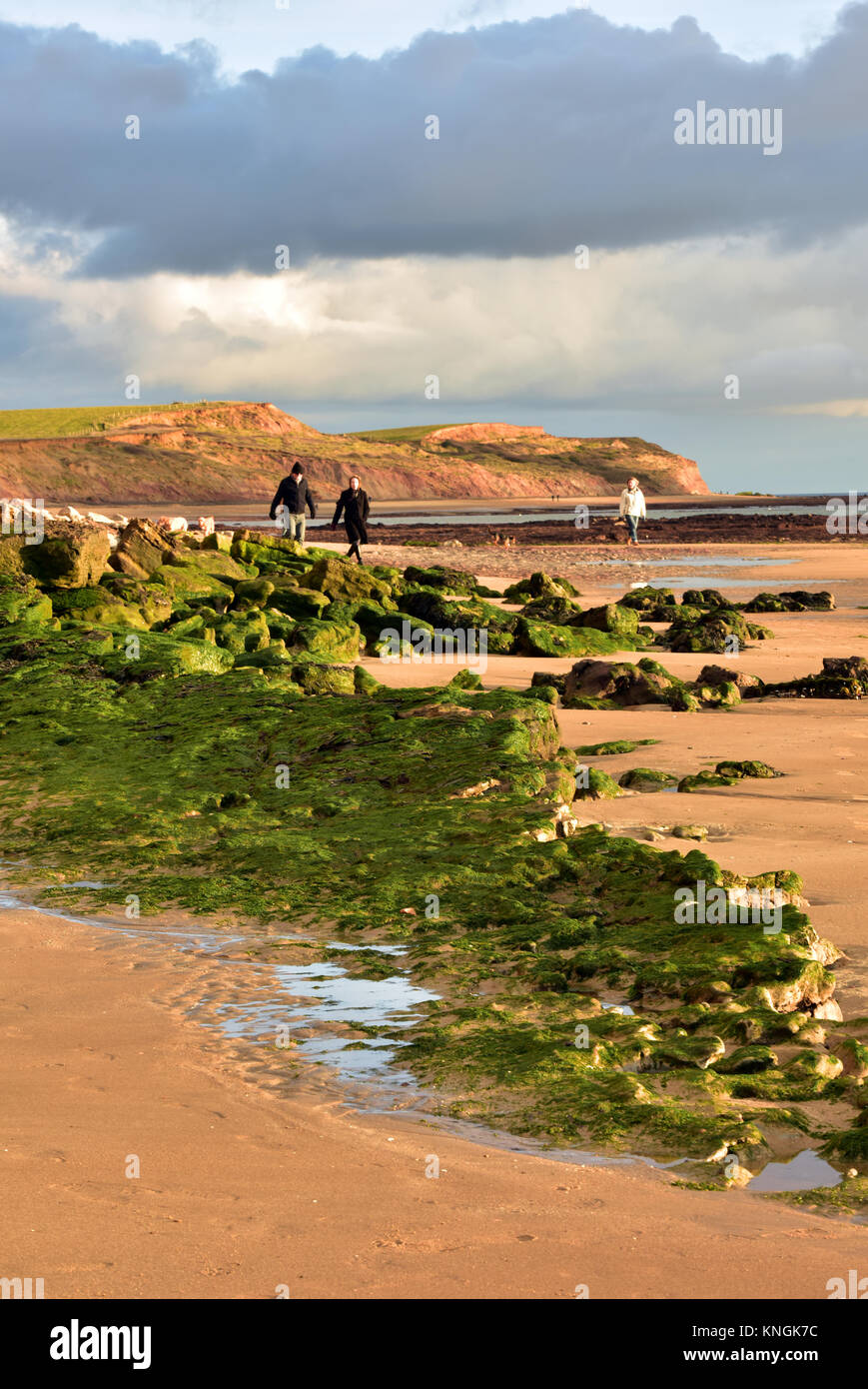 Compton Freshwater Bay Isle Of Wight High Resolution Stock Photography ...