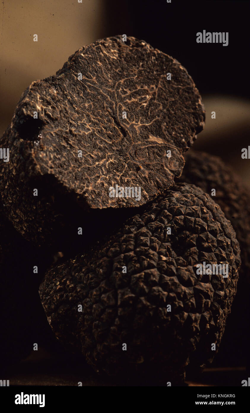 Truffle harvester hi-res stock photography and images - Alamy