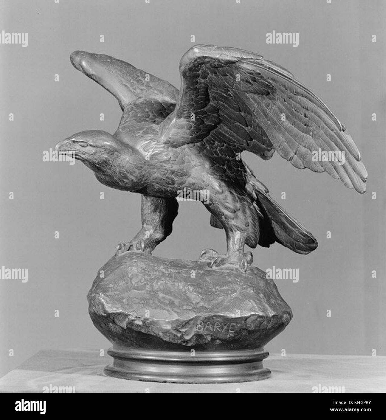 Wings outspread Black and White Stock Photos & Images - Alamy