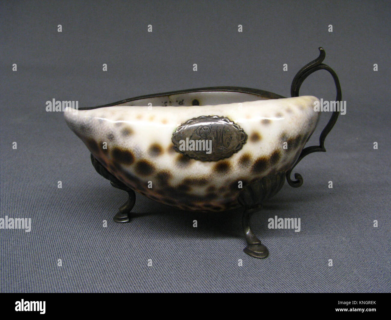 A cowrie shell, commonly used in ancient trade and as currency ...