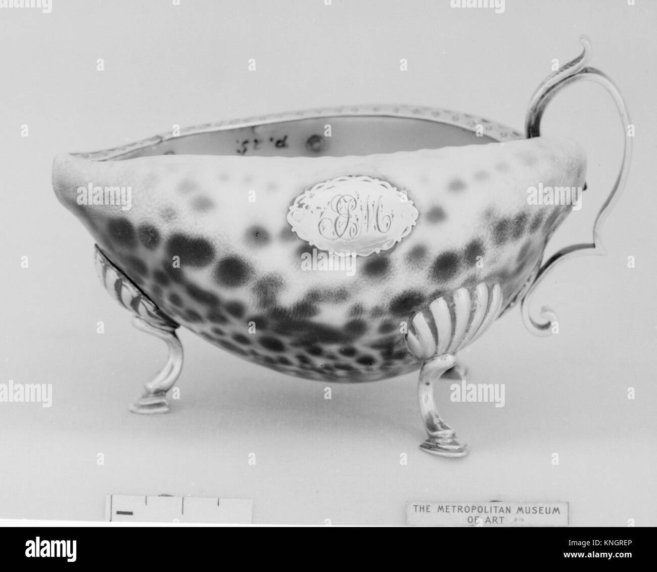 This cowrie shell is an ancient artifact used in trade and ...