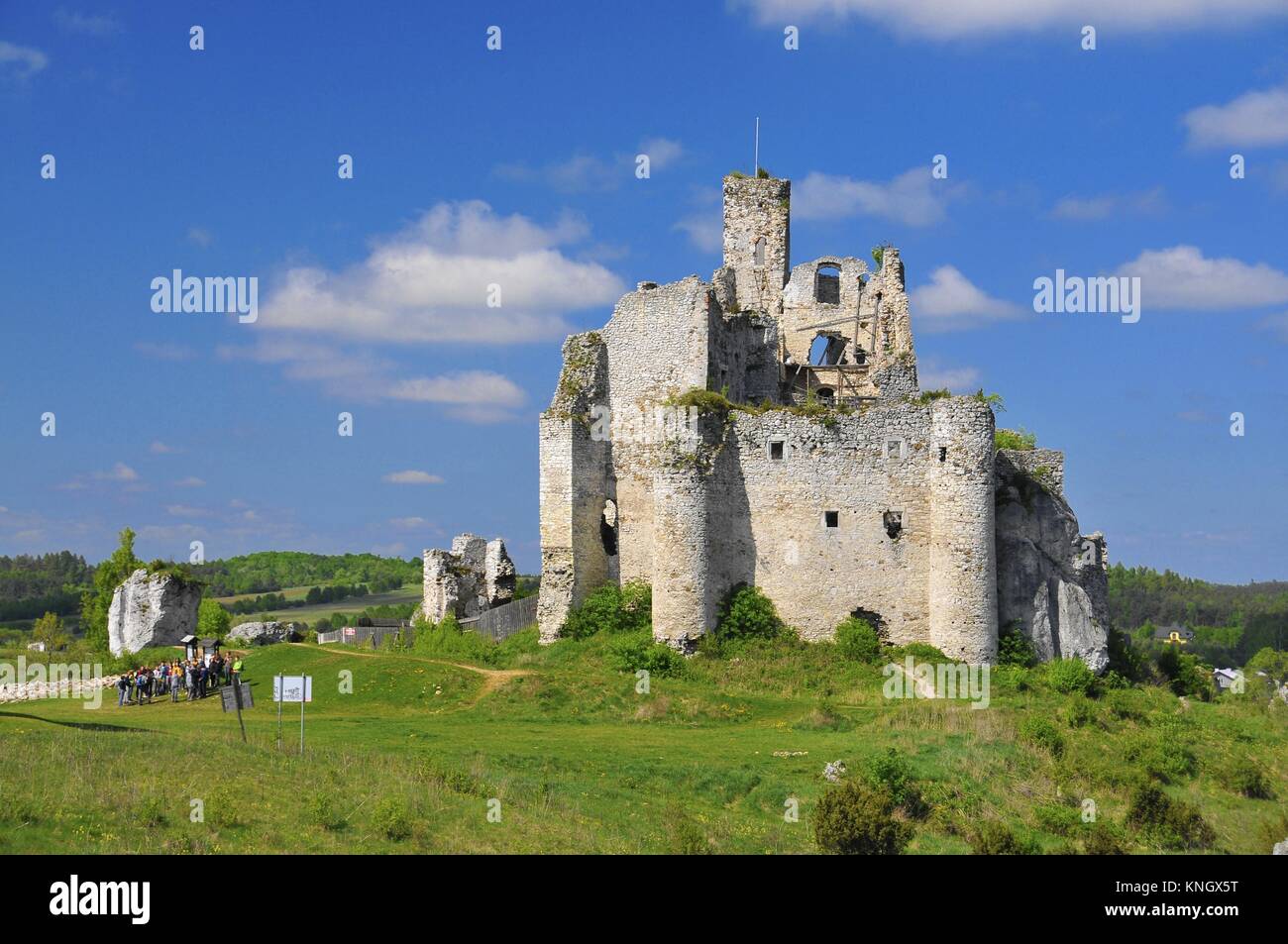 Ruins of 14th century castle located in the Mirow village, Silesian ...