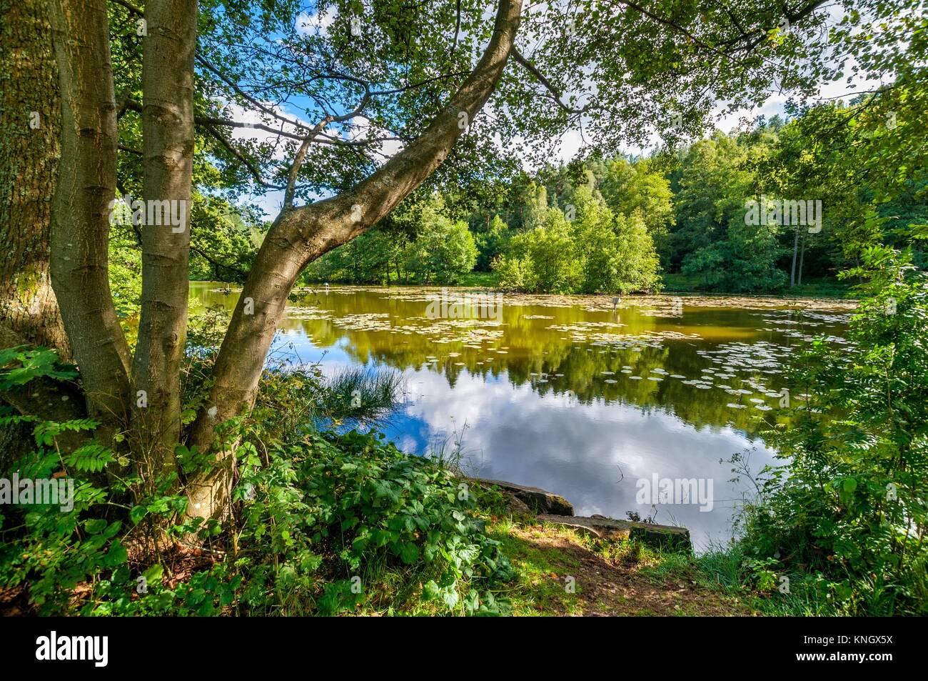 Wiele hi-res stock photography and images - Alamy