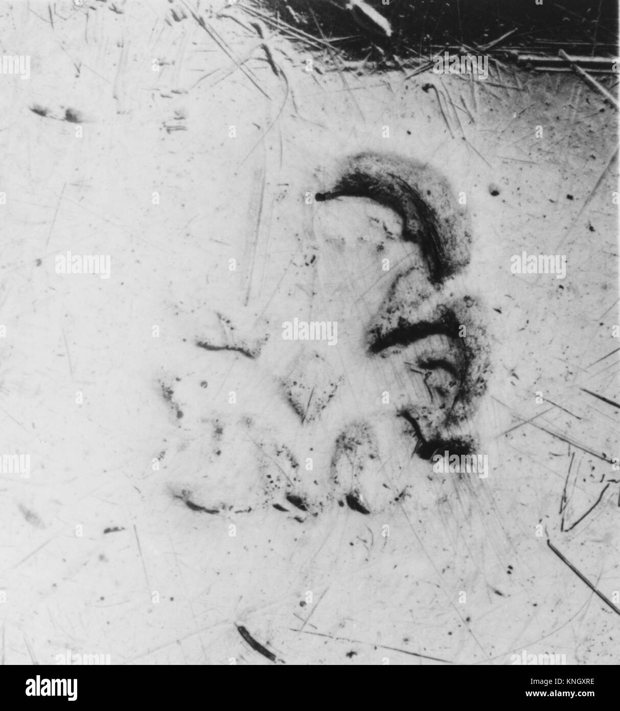 This double salt is a functional and decorative item from the past ...