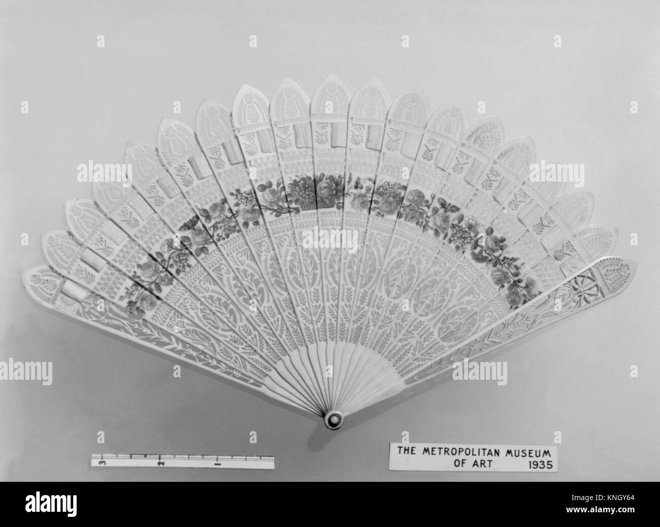 Delicate example Black and White Stock Photos & Images - Alamy