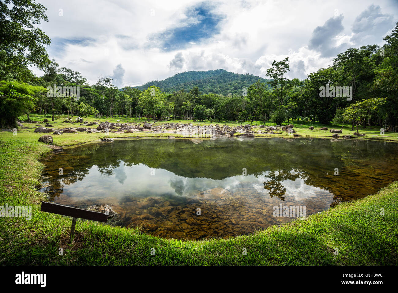 Hot Spring Sky Trees