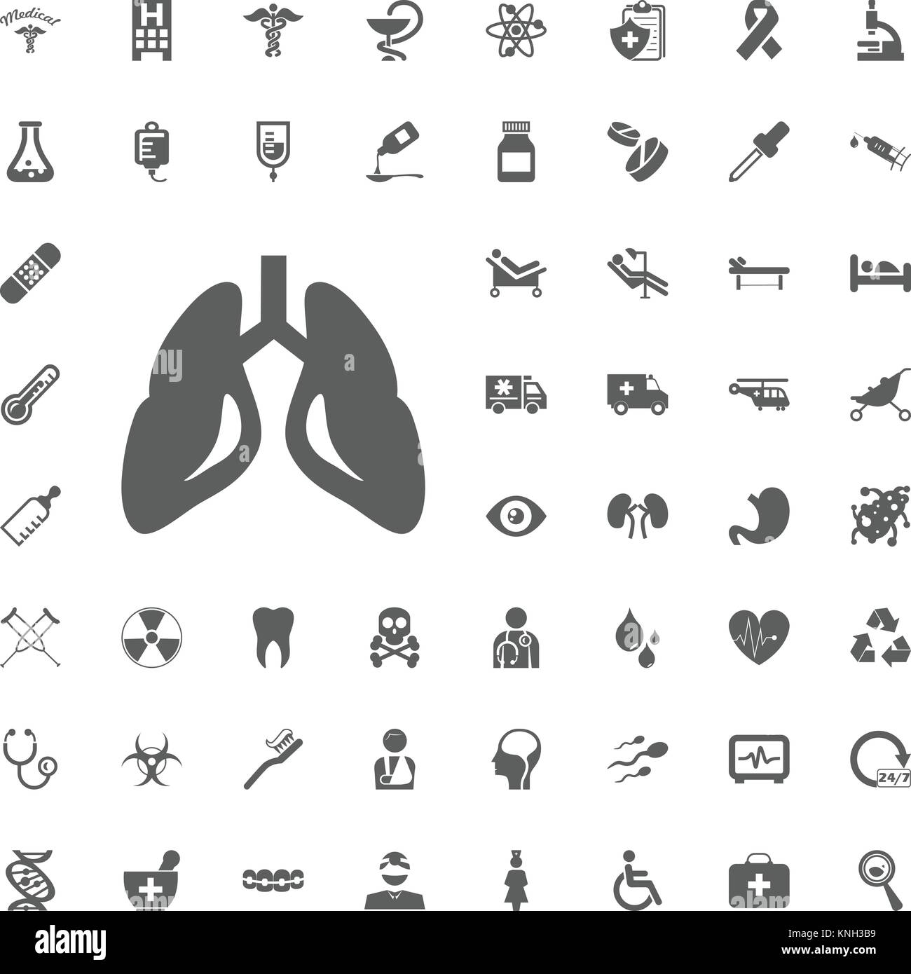 lungs icon. Medical and Hospital Icon vector Set Stock Vector Image ...